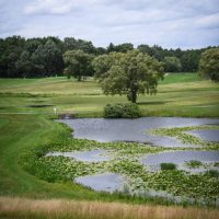 Peter Luff's Site – Peter Luff | Yale | NYC